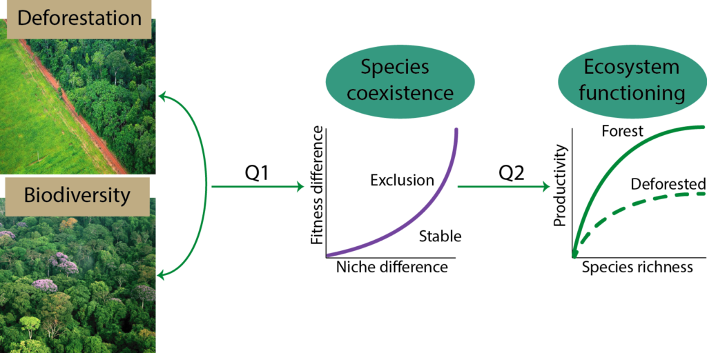 Combined effects of deforestation and biodiversity loss on species ...